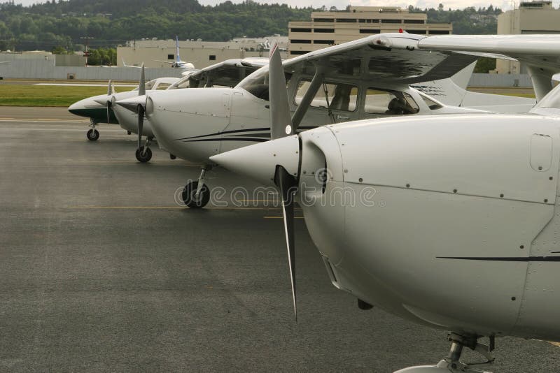 On the Flight Line stock photo. Image of line, propeller - 1055184