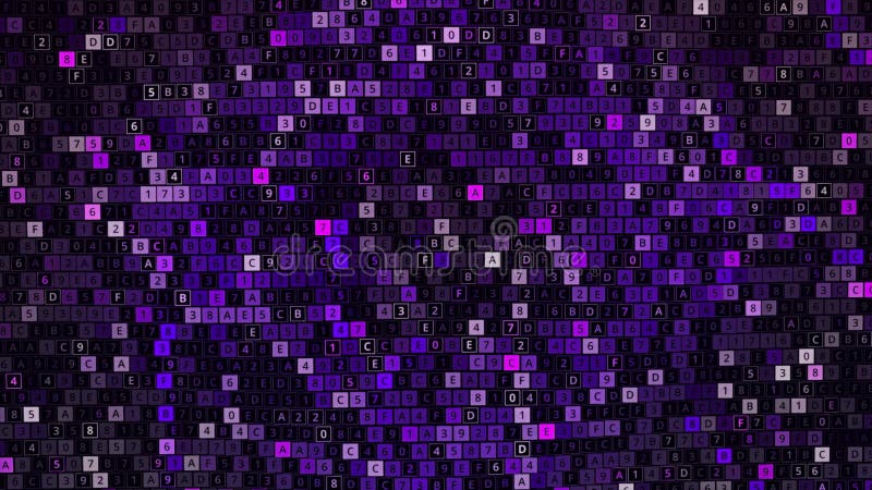 Flight Over Digital Field of Purple and Pink Generic Numbers, Seamless ...