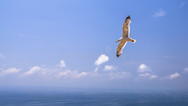 Flight over the ocean stock photo. Image of outdoors - 73767406