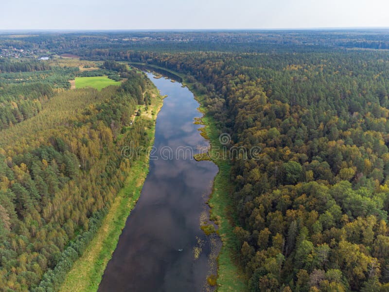 Flight Over the River, River in the Forest from a Bird Eye View Stock ...