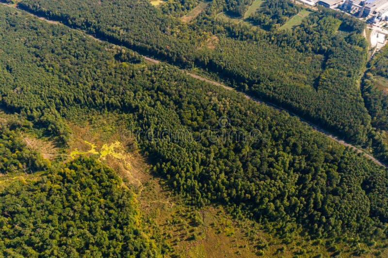 Deforestation, Large-scale Deforestation, Destruction of the ...