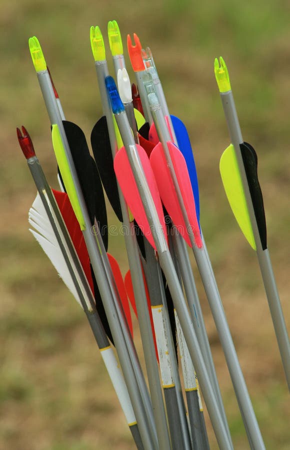 Archery arrows stock photo. Image of arrows, brindled - 9500520