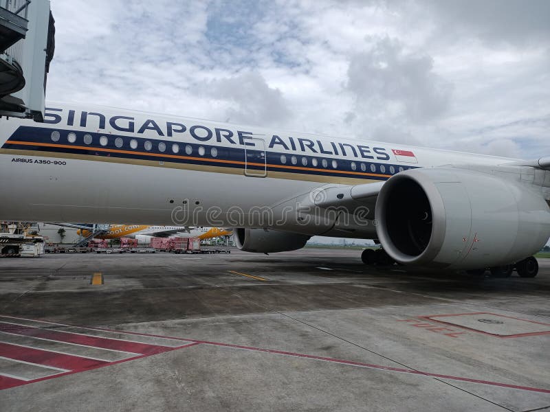 Flight Singapore Airlines editorial photo. Image of airline - 262855056