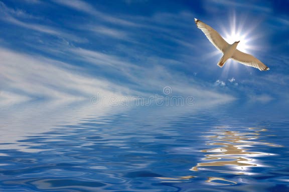 Flight of soul stock photo. Image of blue, spirit, liberty - 5908224