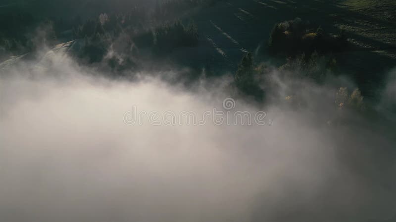 Flight Trough Misty Cloud with Rays of Sun Light in Magic Morning ...