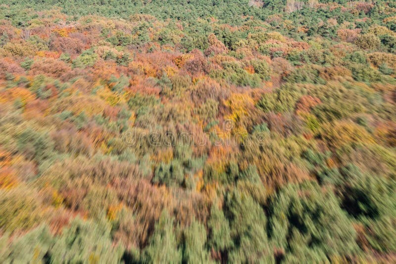 Flight view autumn forest stock photo. Image of colorful - 29166366