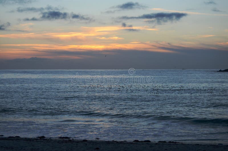 Flight on the water stock image. Image of sunset, ocean - 197884983