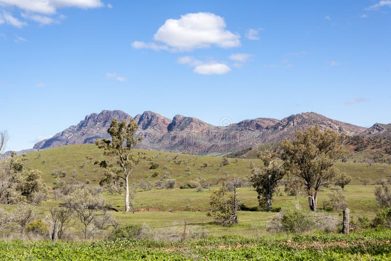 Flinders Ranges Mountains in Australia Stock Photo - Image of mountain ...