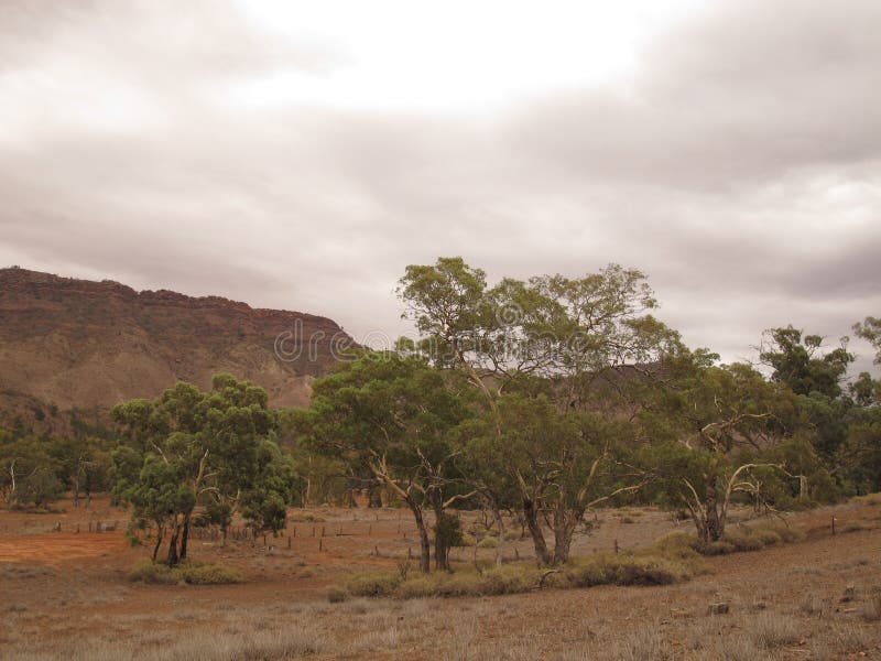 Flinders Ranges, Brachina Gorge, Australia Stock Photo - Image of ...