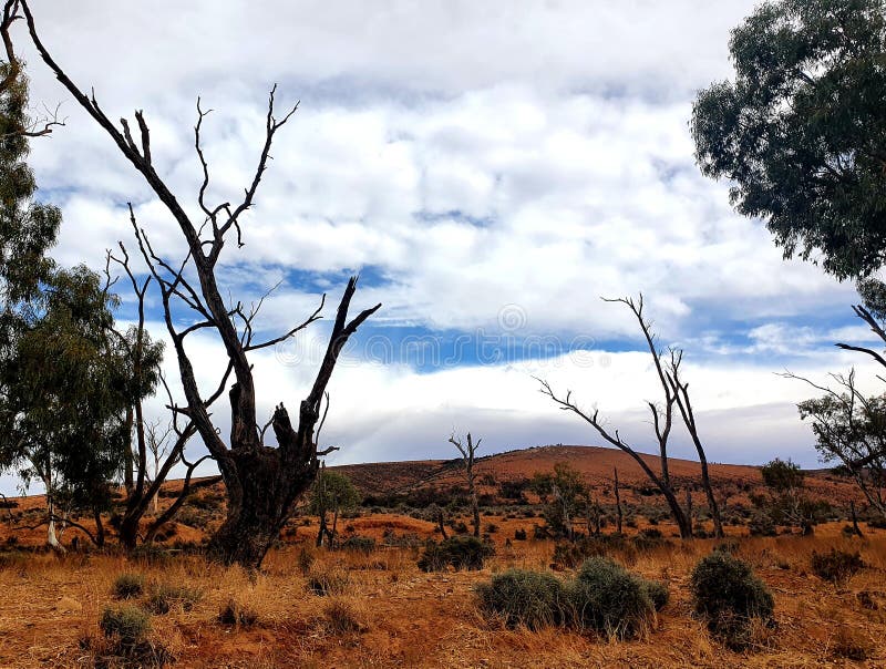Flinders Ranges Hiking View Stock Image - Image of hiking, rural: 217569409