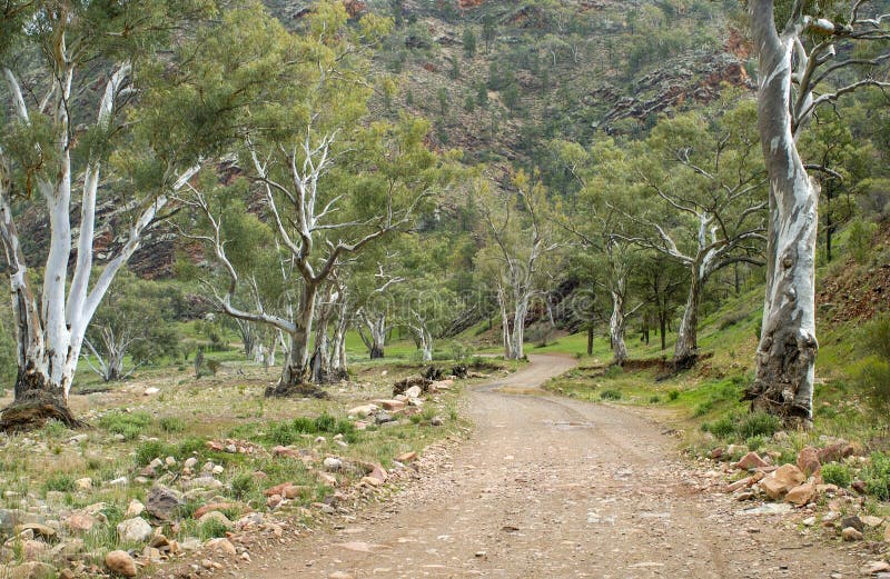 Flinders Ranges National Park. Stock Photo - Image of park, south ...