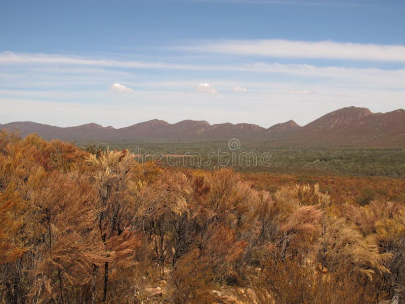 Flinders Ranges, South Australia Stock Image - Image of bush, mountain ...