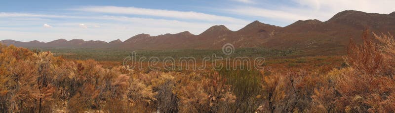 Flinders Ranges, South Australia Stock Photo - Image of bush, australia ...