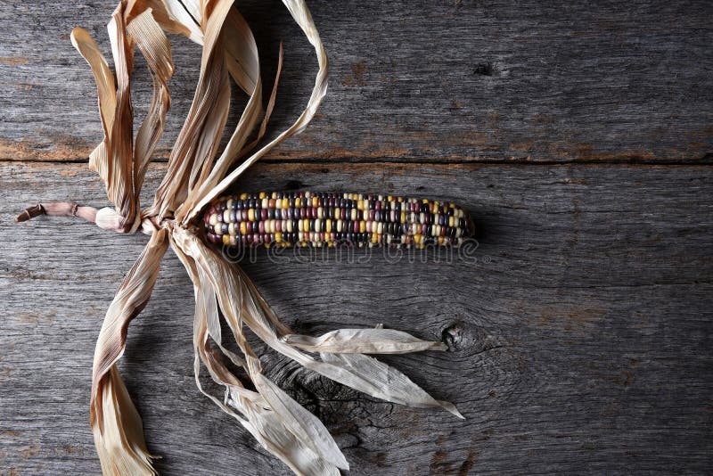 Flint Corn on Rustic Wood Table Stock Photo - Image of vegetable ...