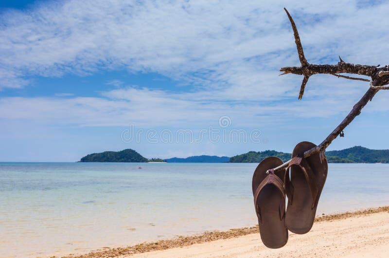 Flip-flop on the beach stock image. Image of shoes, summer - 30569829