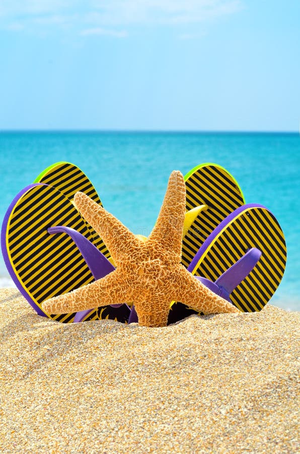 Flip Flops and Starfish on the Sand Near the Ocean Stock Image - Image ...