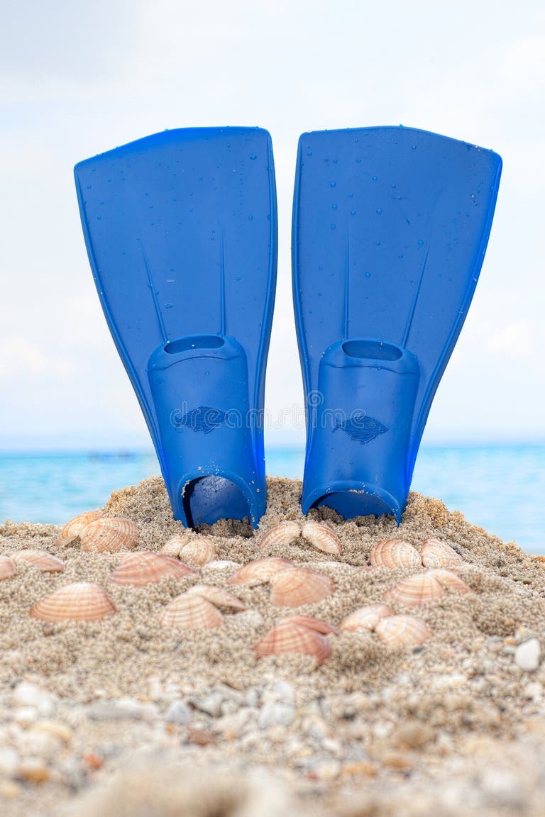 19,399 Flipper Uno Stock Photos - Free & Royalty-Free Stock Photos from ...