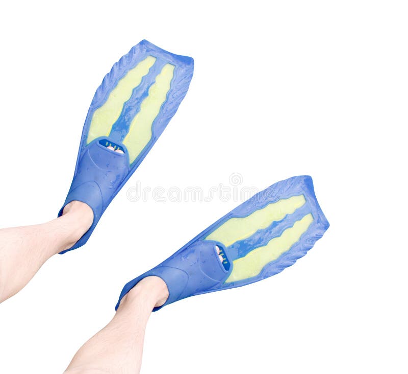Flippers stock photo. Image of adventure, footwear, flippers - 21855988