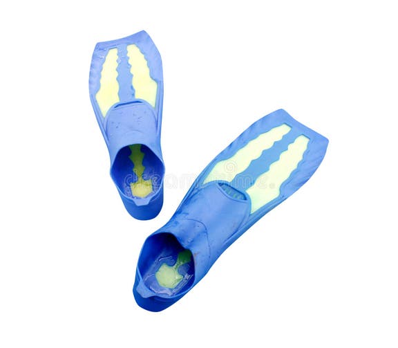 Flippers stock image. Image of pair, feet, exercise, leisure - 21855993