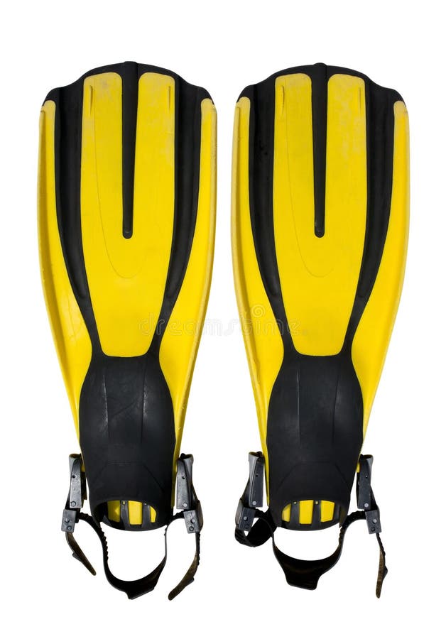 Isolated Pink Flip Flops stock photo. Image of footwear - 2973614