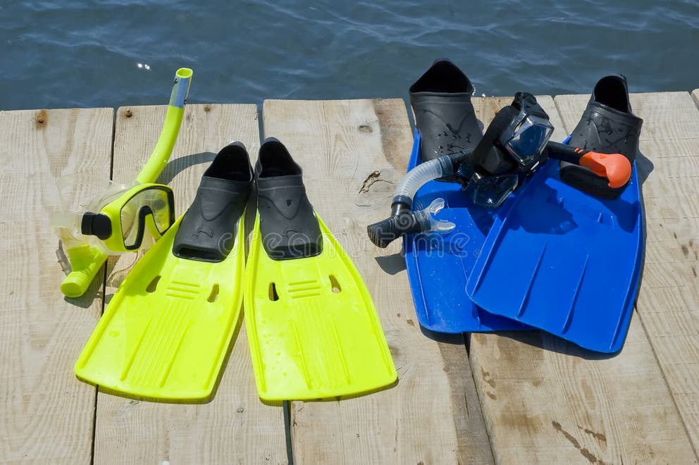 Flippers stock image. Image of recreation, exercise, tropical - 3135443