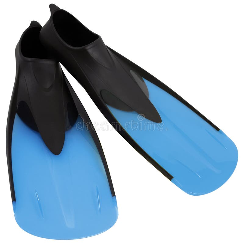 320+ Flippers Free Stock Photos - StockFreeImages