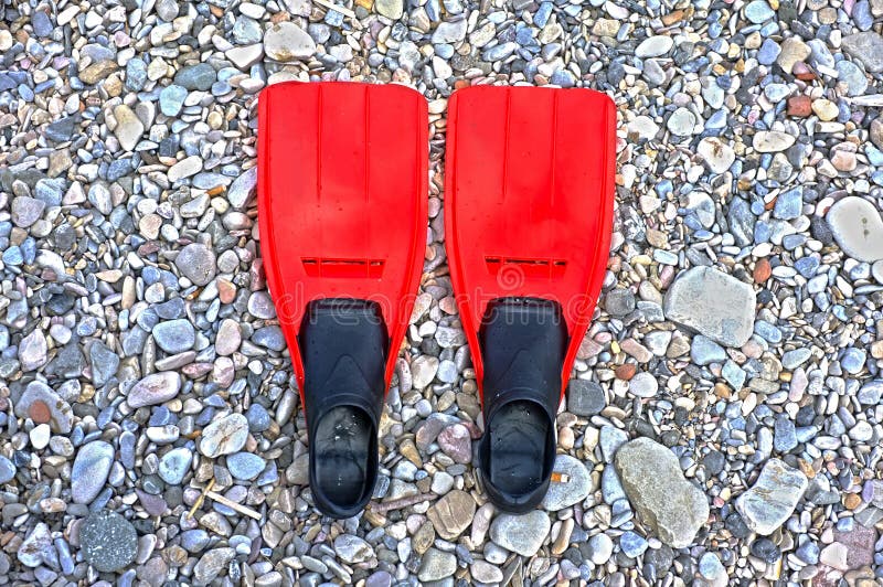 Flippers on the Pebbles at the Sea Coast Stock Image - Image of ocean ...