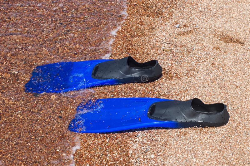 Flippers on the beach stock image. Image of summer, sand - 86201093