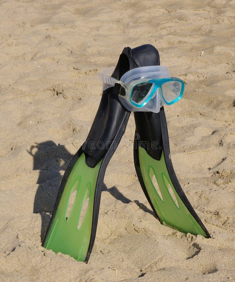 Flippers and diving mask stock photo. Image of vacation - 35602000