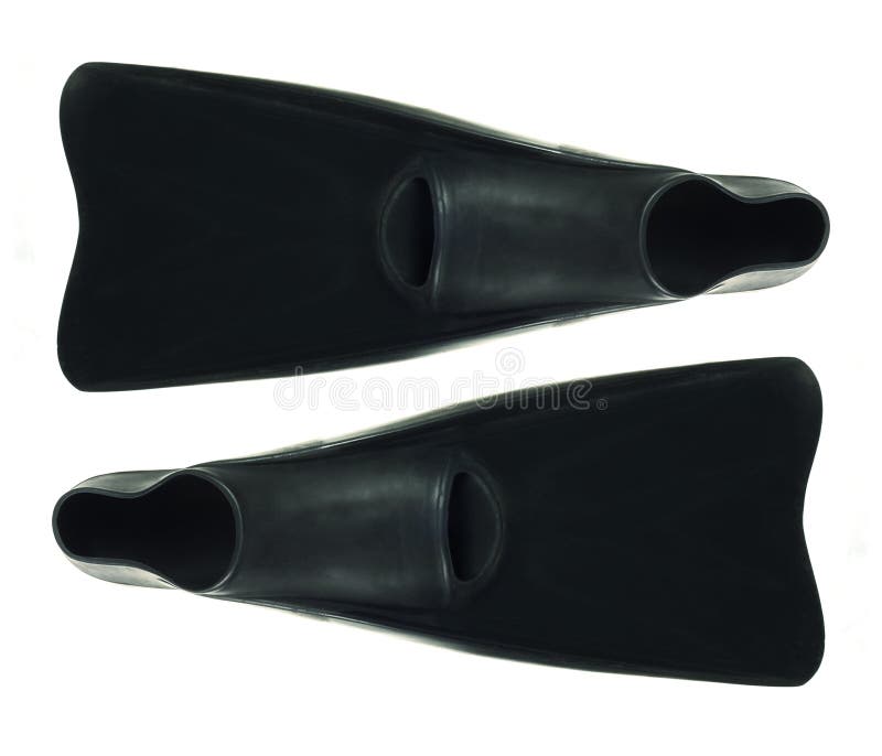 Flippers stock image. Image of flippers, equipment, rubber - 55765589