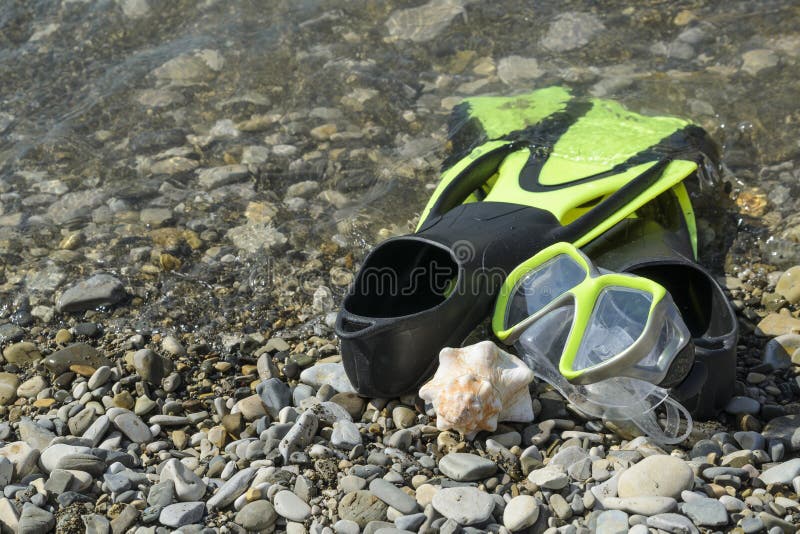 Flippers the mask Beach stock image. Image of rubber - 45457477