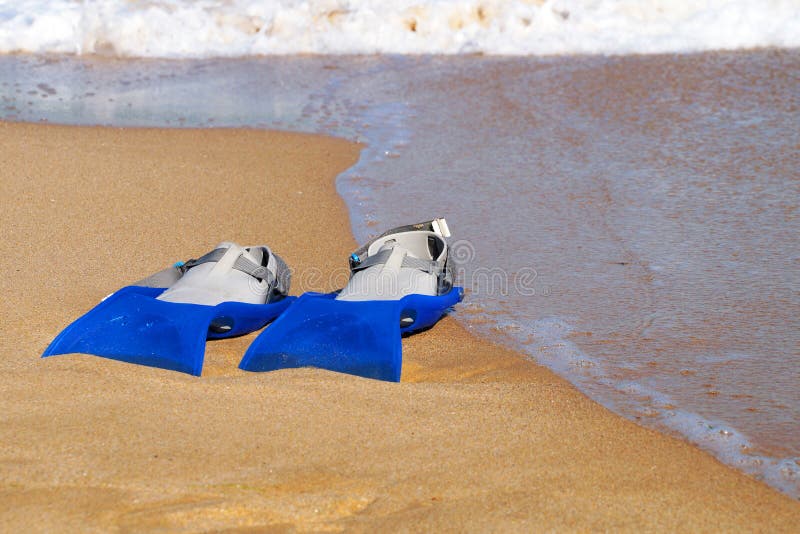 Flippers on a Sandy Beach Near the Waves, Copy Space Stock Photo ...