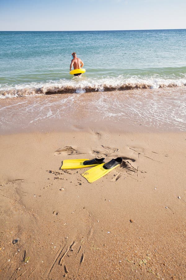 Flippers of the sea stock photo. Image of activity, adventure - 43801384