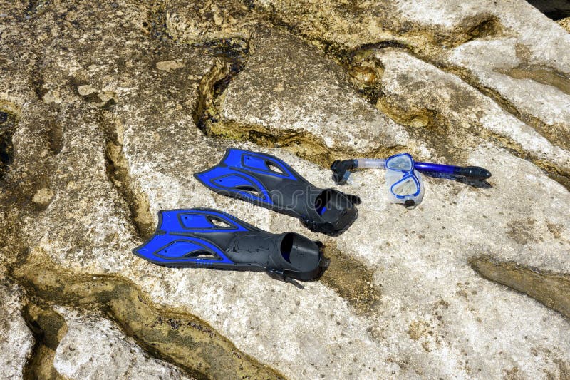 Flippers on the shore stock image. Image of recreation - 324413275