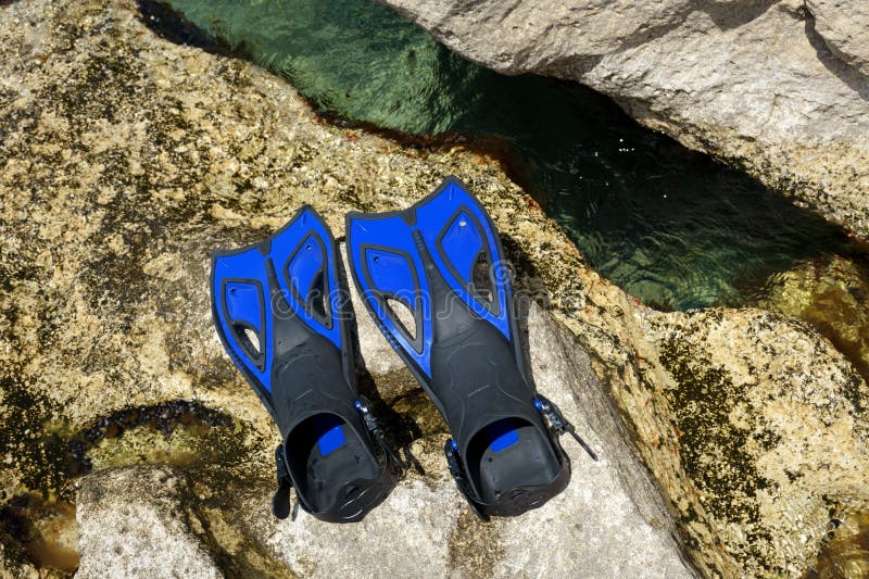Flippers on the shore stock image. Image of rubber, seacoast - 343630529