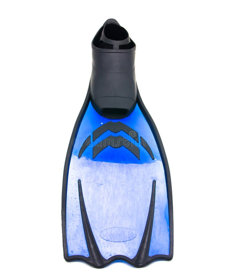 Flippers on white stock photo. Image of pool, boot, snorkeling - 62284096