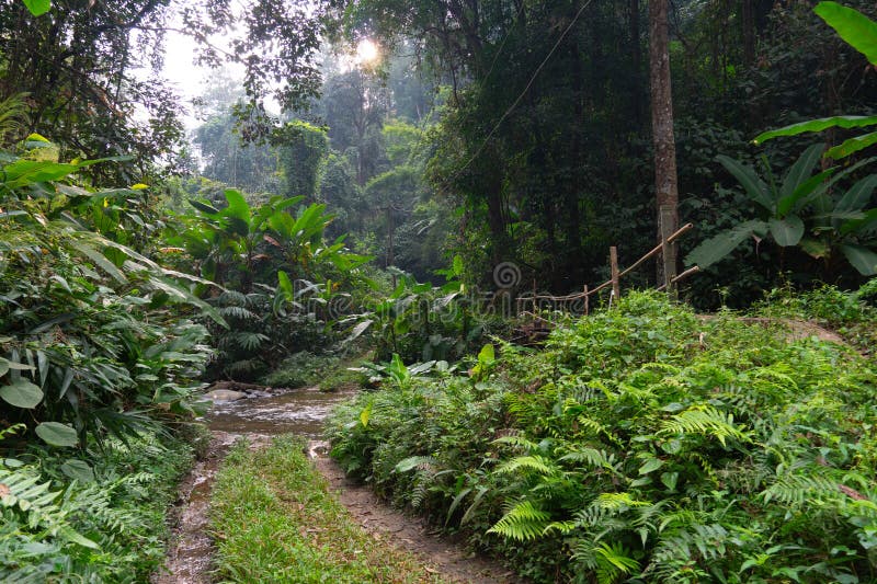 Float Along the Path of the Car Ferry Crossing the Watercourse from ...