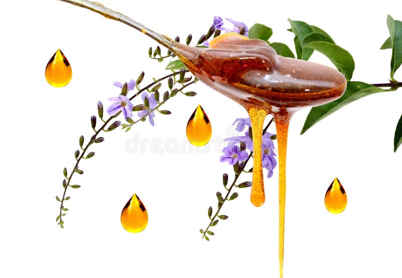 Float bee. stock photo. Image of orange, small, swim - 191856830