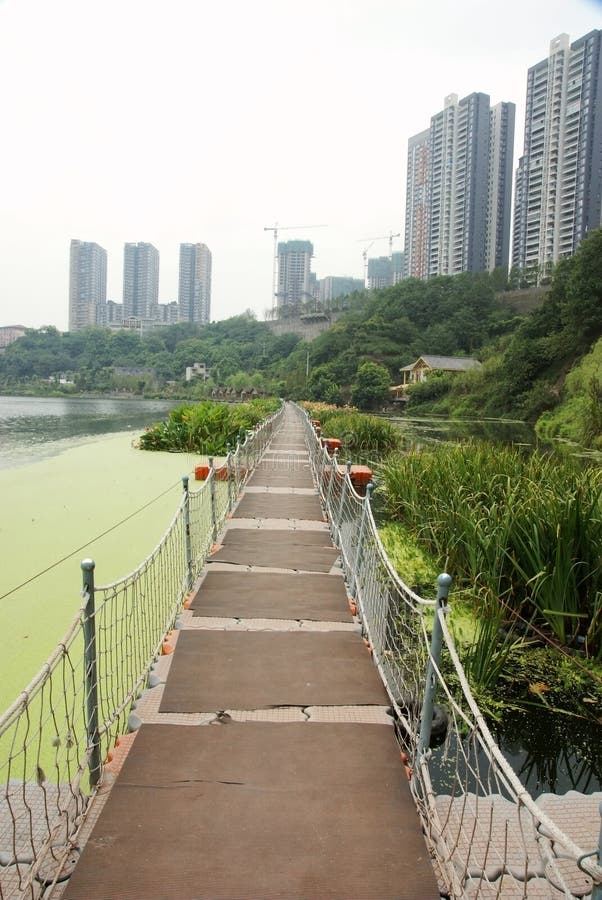 Float Bridge With High Rise Buildings Stock Image - Image of bridge ...