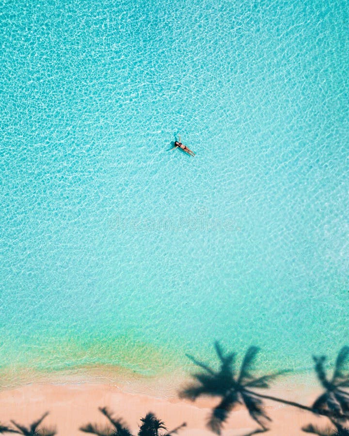 Float stock image. Image of paradise, enjoying, hawaii - 150471971