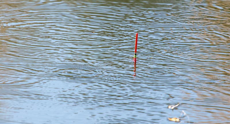 The Float Floats on the Surface of the Water. Stock Image - Image of ...