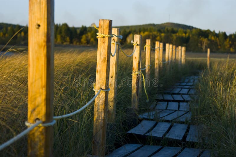Float path in marsh stock photo. Image of sunset, marsh - 11646278