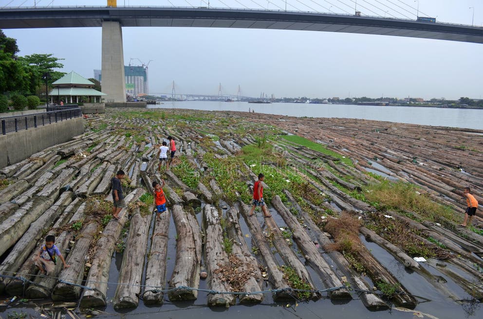 Float timber editorial photo. Image of timber, water - 24196086