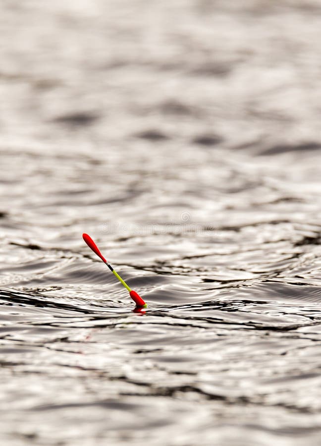 Float on the water stock photo. Image of macro, water - 97176564