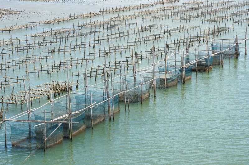 Floating Basket for Keeping Live Fish in the Sea Stock Image - Image of ...
