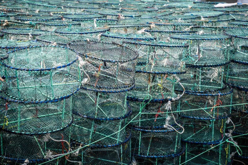 Floating Basket for Keeping Live Fish in Water Stock Image - Image of ...