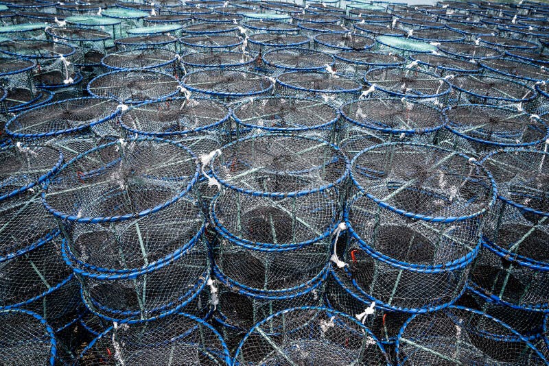Floating Basket for Keeping Live Fish in Water Stock Image - Image of ...