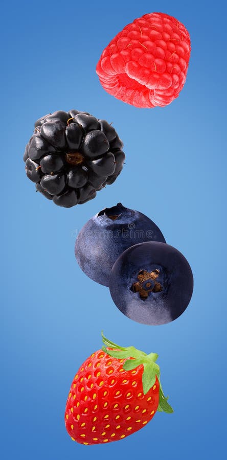 127 Floating Blueberry Background Stock Photos - Free & Royalty-Free ...