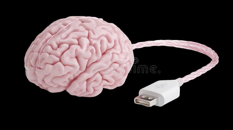 Floating Brain Connected with Usb Cable on Transparent Background Stock ...