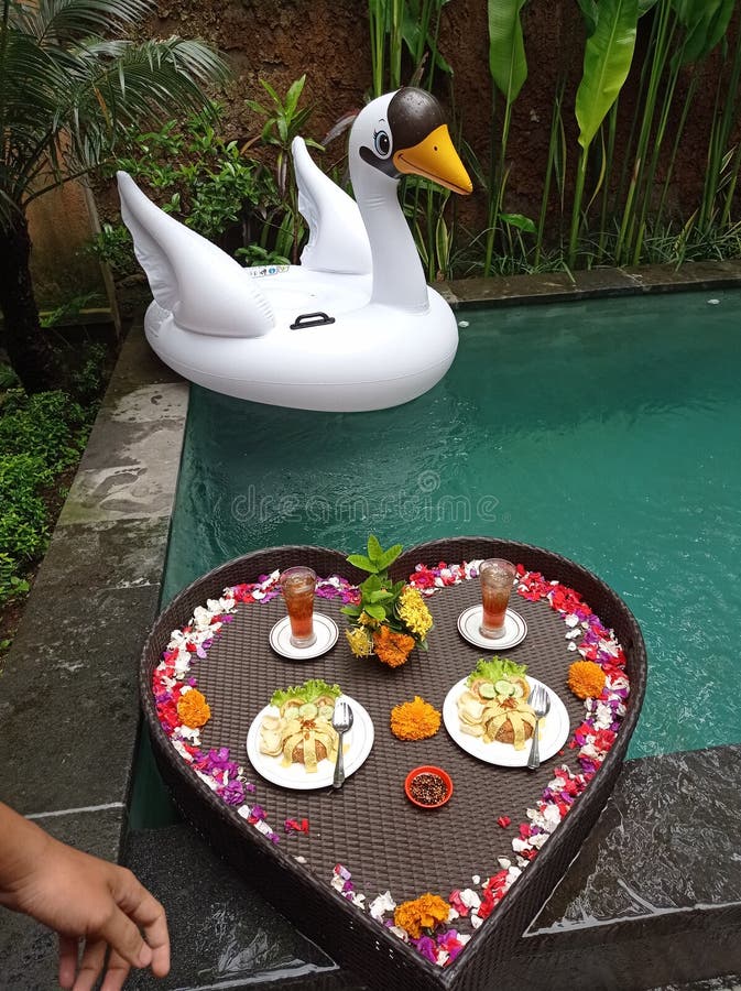 Floating breakfast in bali stock photo. Image of waterbird - 235064782